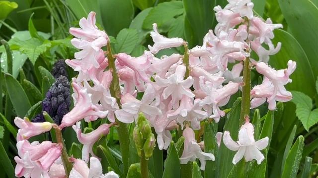 Последние выходные апреля.