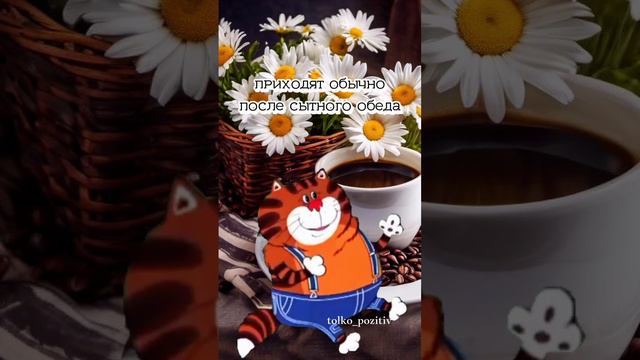 Немного юмора