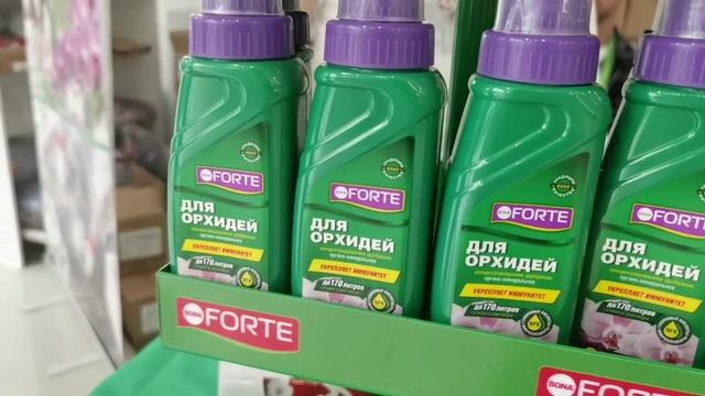 ОРХИДИУМ 2021?Выставка-ярмарка ОРХИДЕЙ