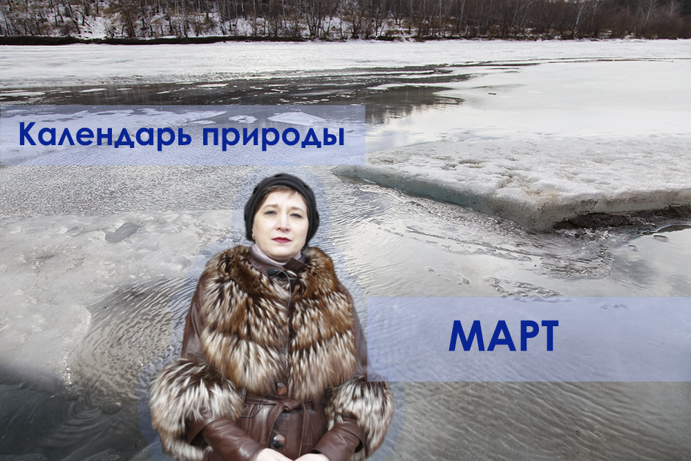 Календарь Природы. Март.mp4