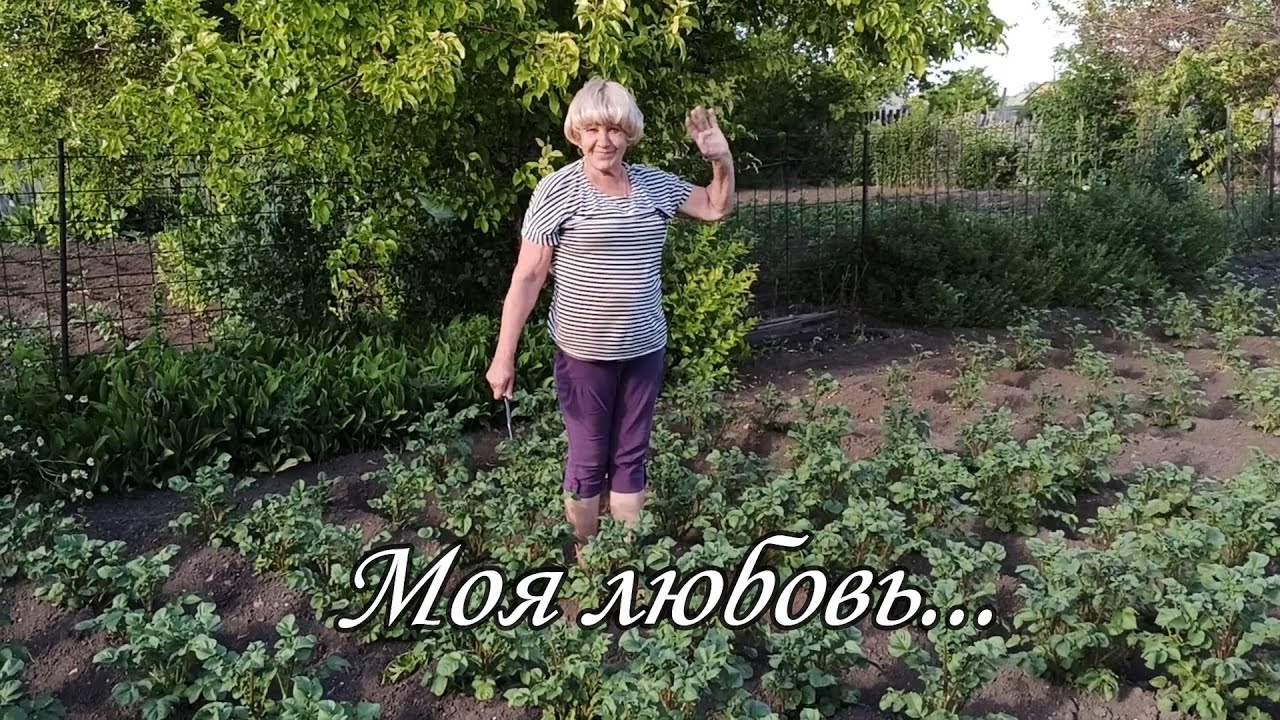 Cпacибo, Heбo, чтo xpaнишь мнe мaму...