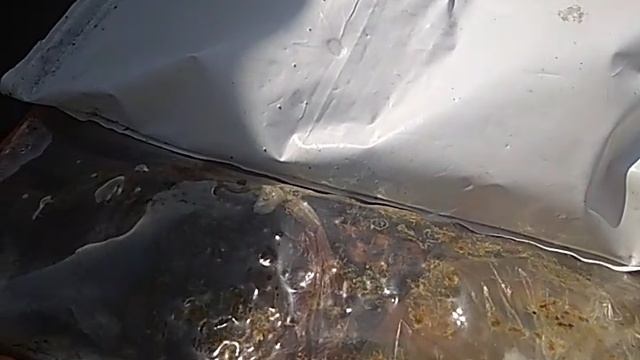 Двух маточное развитие пчел в ппу улье. Прошло 8 дней после осмотра пчел.