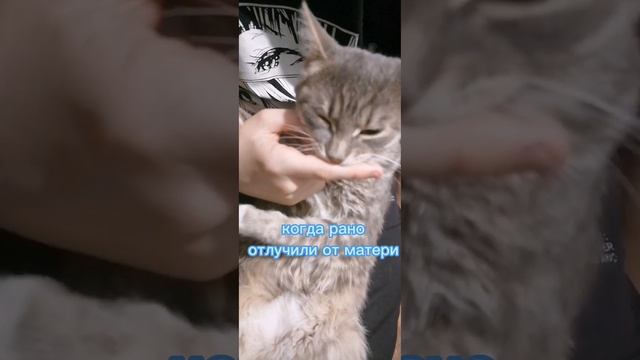Когда рано отлучили от матери