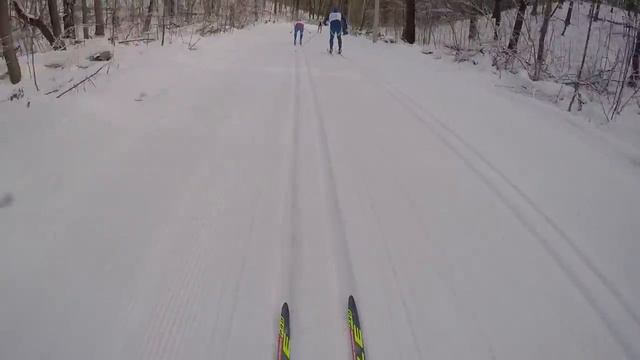 Лыжные Гонки на призы памяти Гущина А. М