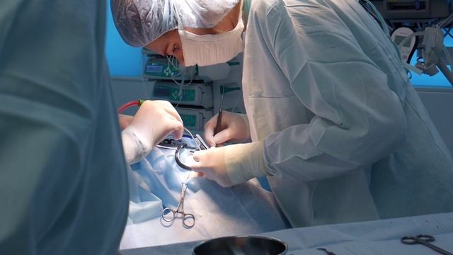 Хирургическое лечение расщелины губы и нёба