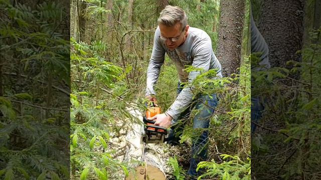 2022 - делаю мост 1