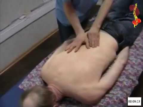 Животков ИС Экзамен 1-2 курс Выпуск Апрель 2017 - Академия Массажа Микулина А.Л. Воронеж