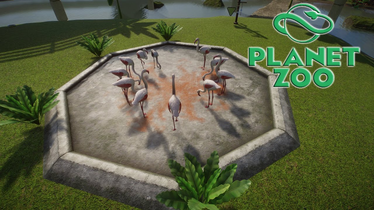 Planet Zoo S2 E15 - Вольер для фламинго