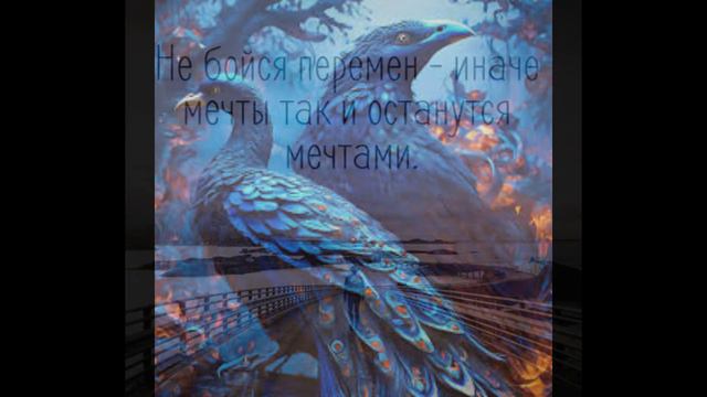 Мудрость от Ворона 15. Запиши или Запомни