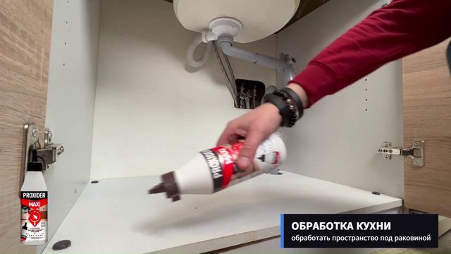 Как избавиться от тараканов дома без вреда для людей и животных