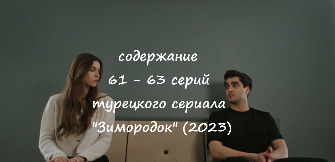 Содержание 61, 62 и 63 серий турецкого сериала "Зимородок" (РФ, 2023)