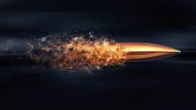 Не пёс а пуля!.mp4