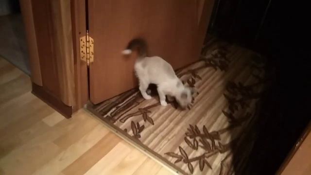 Первый день в семье. 11.09.2021 г..mp4