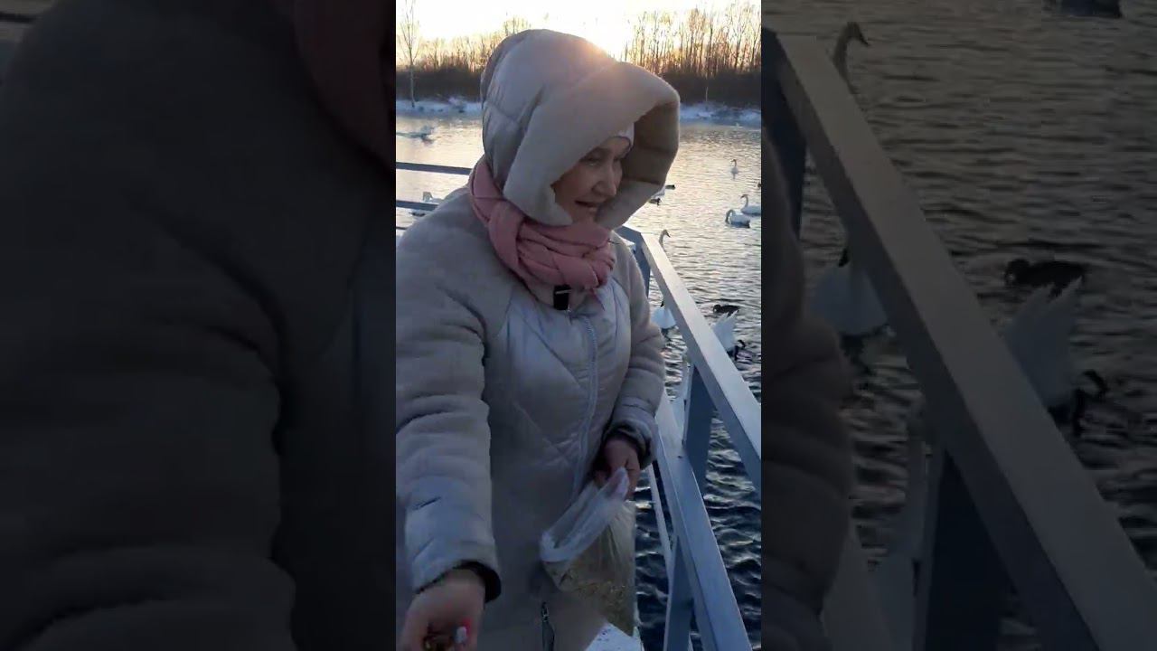 Лебеди в минус 25 #алтай #чудесаСибири