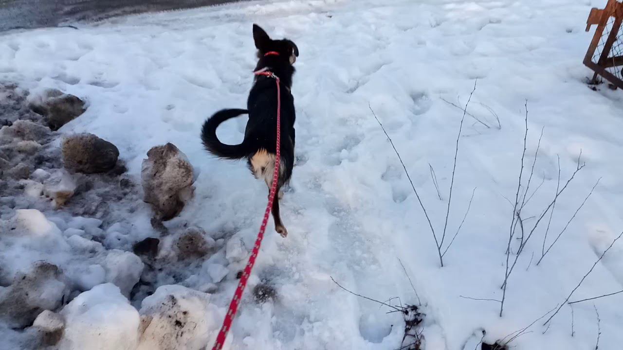 Дина делает успехи) Меньше страхов, туалет на улице