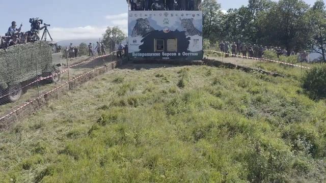 Выпуск леопардов Баксана и Агуры в Северной Осетии