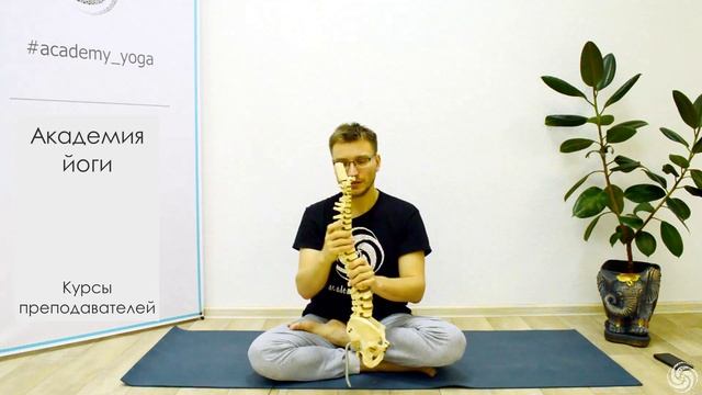 Травмобезопасность позвоночника