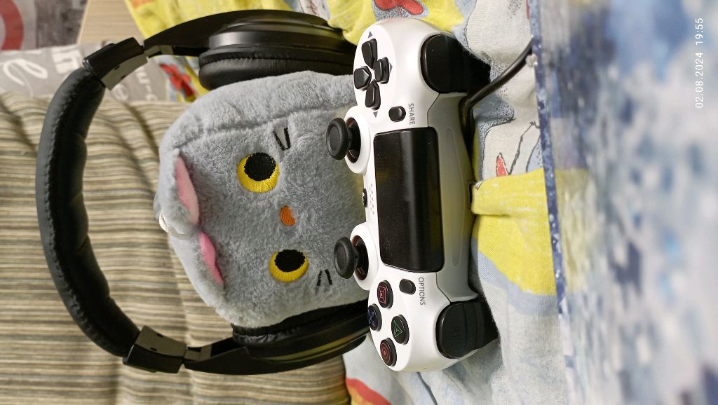 я вступил в команду RUSHIKpysh473