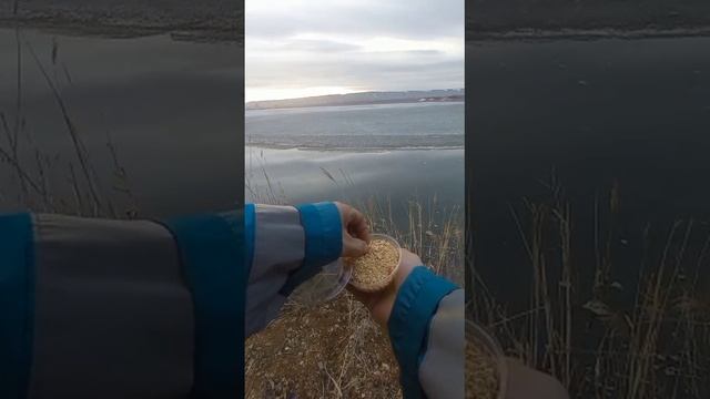 Открытие летнего сезона 2022