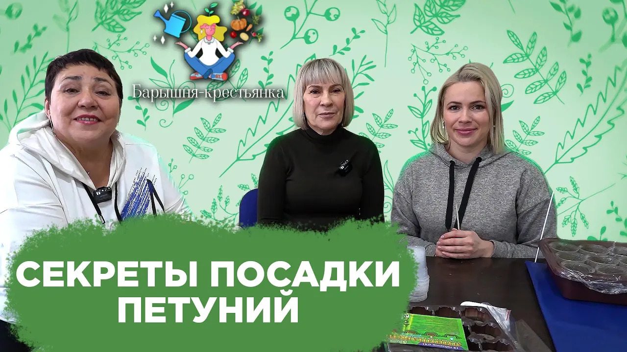 Высаживаем петунии | Барышня-крестьянка