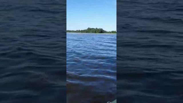 Финский залив. Рыбалка.