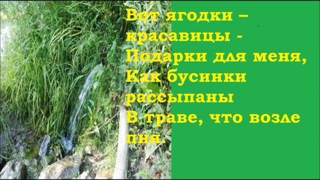 Стихи о жизни. Иду я по дорожке. Татьяна Логиновская