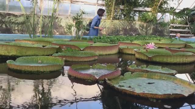 Поездка в ботанический сад в Ставрополе.