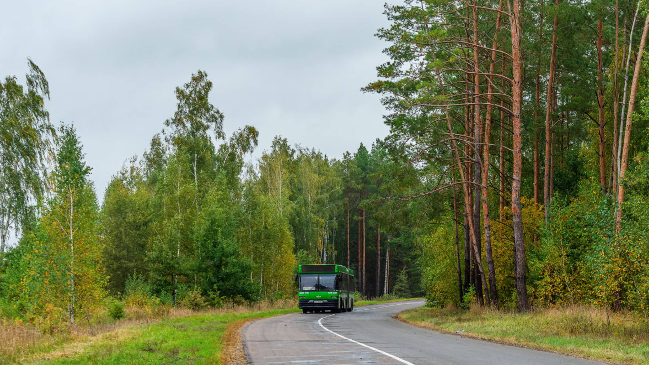 Автобус Гомеля МАЗ 105.065 Al 3332-3 Маршрут 220 АВ Гомель - Михальки