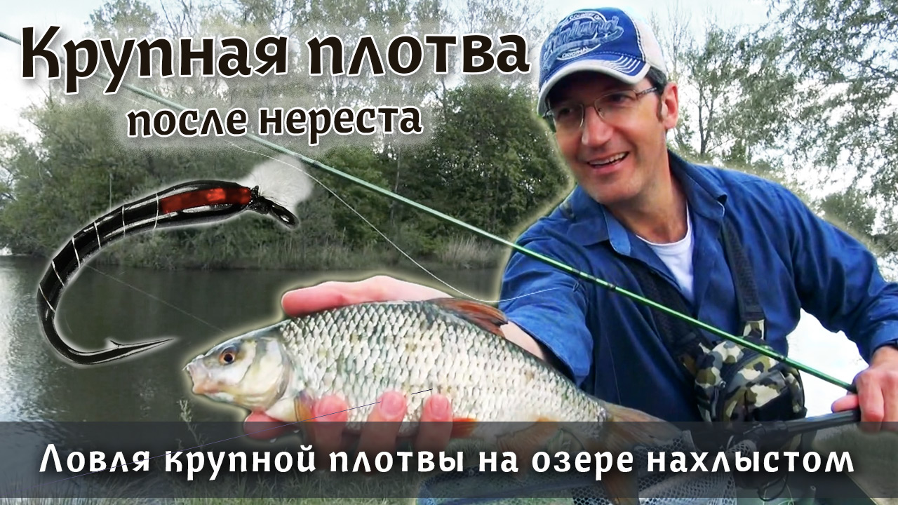 НАХЛЫСТ: Крупная плотва на мушку? А почему бы и нет! Ловля плотвы в мае после нереста