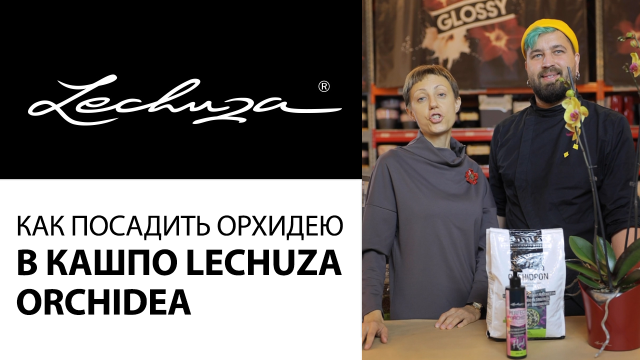 Как посадить орхидею в кашпо Lechuza