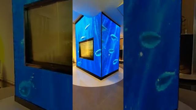 Светодиодный экран площадью 32 кв.м, г. Москва, 2022 г..mp4