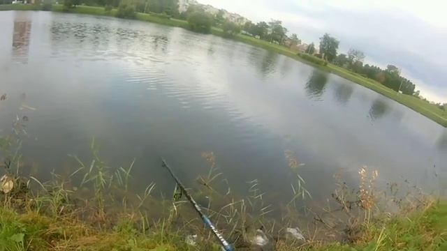 щуренок на спиннинг в Санкт-Петербурге