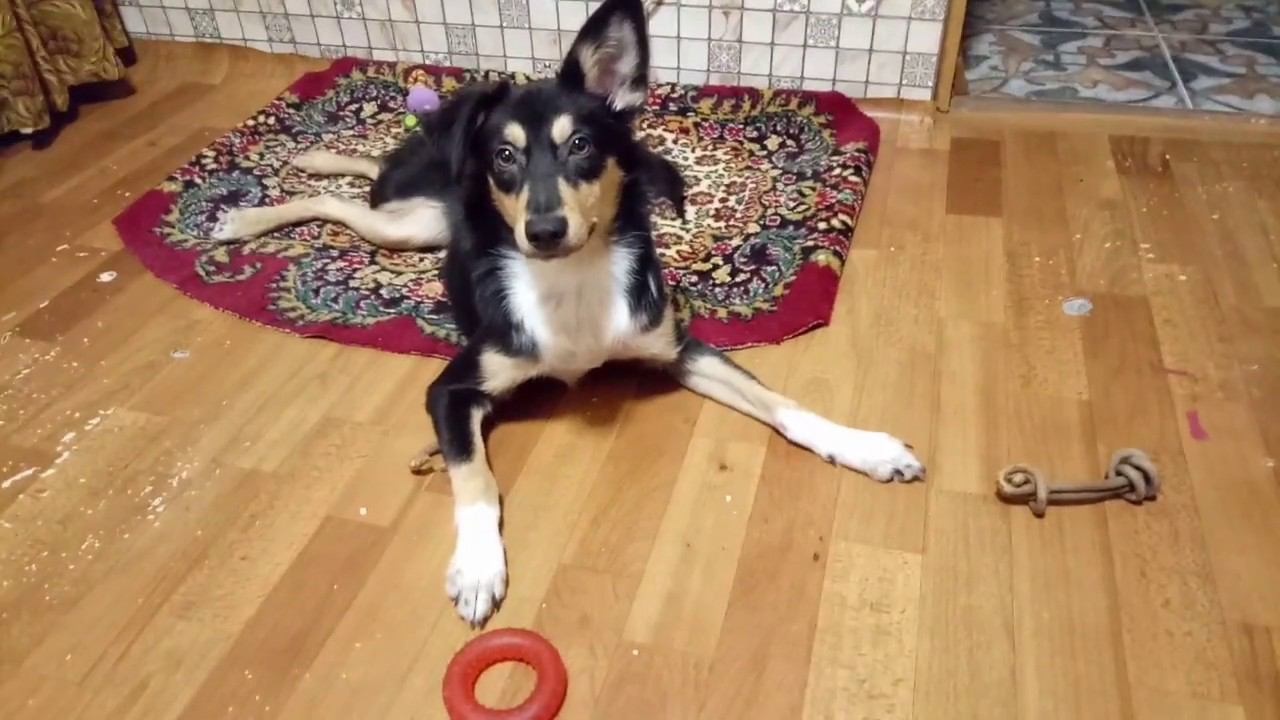 Дина позирует на камеру