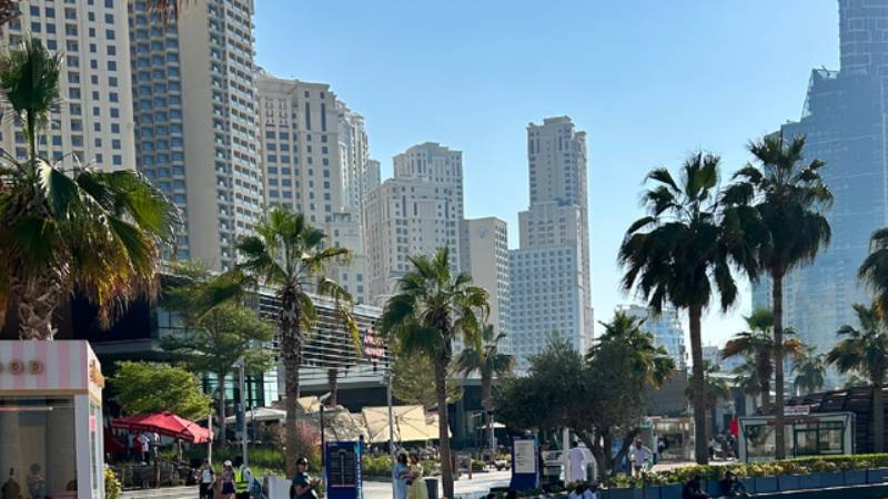 Наши Дубайские деньки в декабре