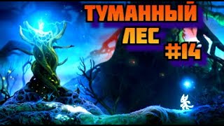 ➤ ТУМАННЫЙ ЛЕС ➤ Ori and the Blind Forest. Прохождение игры на пк на Русском #14