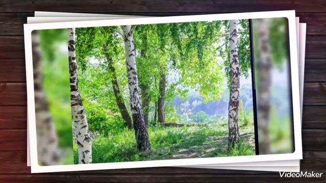 Картинки... (5)