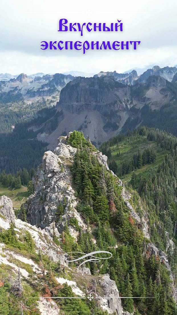 Вкусный эксперимент