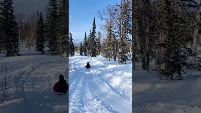 оригинальный спуск сноубордистов