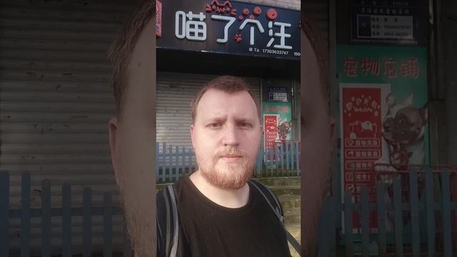 Китайская мудрость на сегодня #китай #пономарев #кнр #китайцы