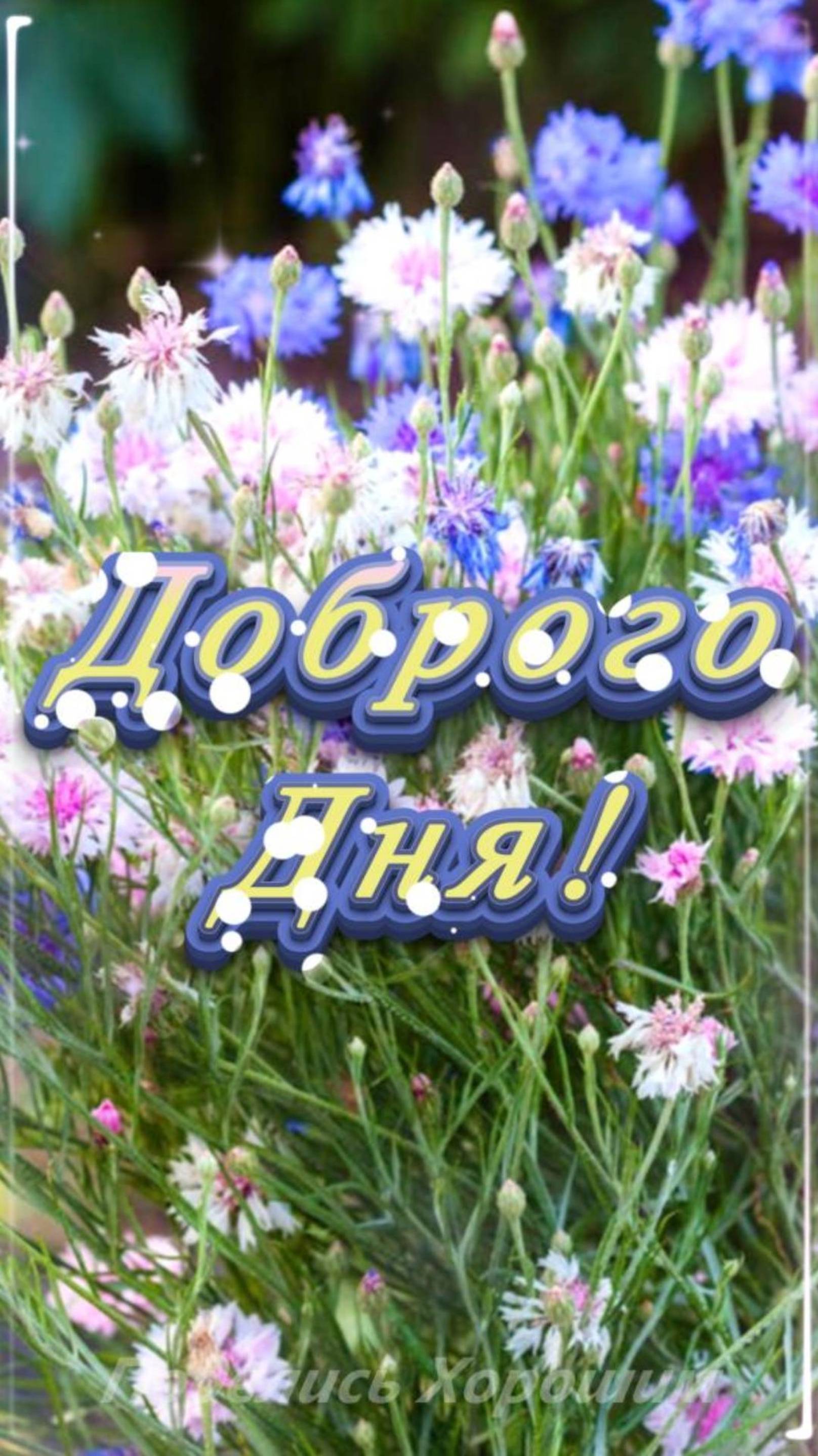 Доброго Дня!