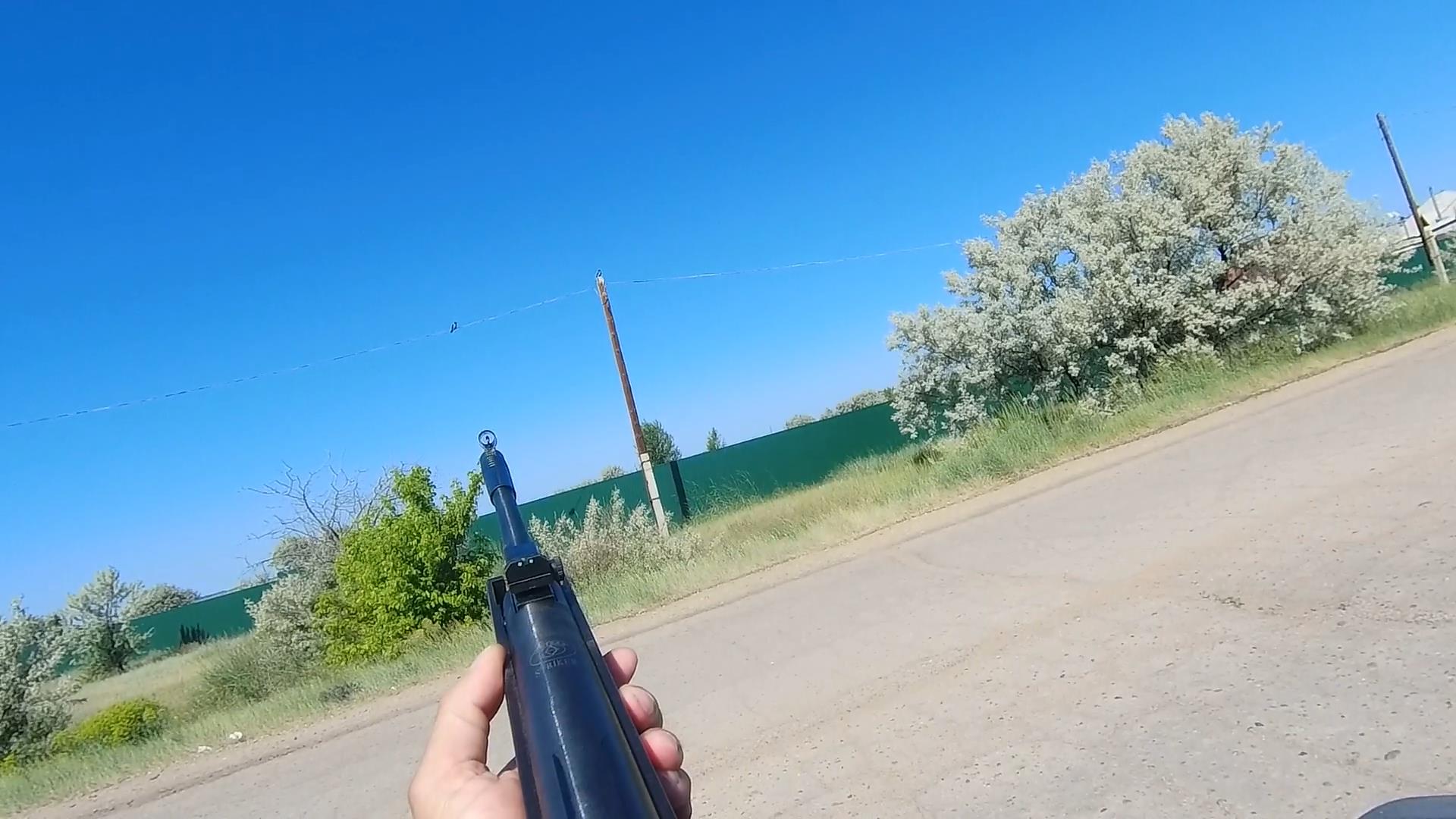 Охота с пневматикой на вредителей.  Ворона, грач. № 2. Стрельба из пневматики влет)))