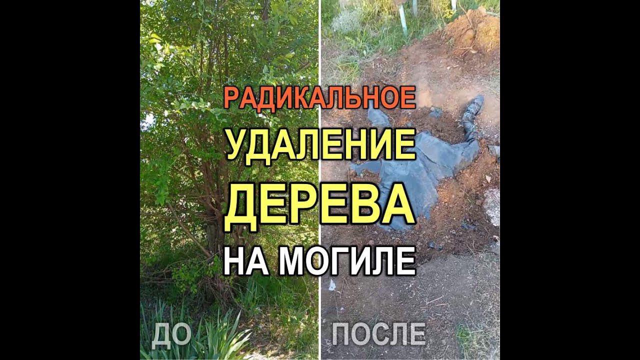 548M - Уборка могилы с радикальным удалением дерева, Кривой Рог