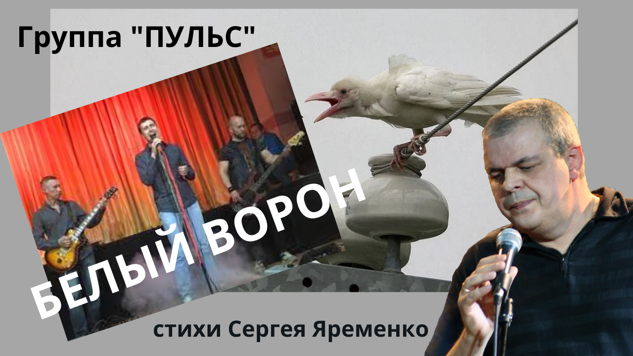Песня "Белый ворон" Исполняет группа "ПУЛЬС" Автор стихов Сергей Яременко