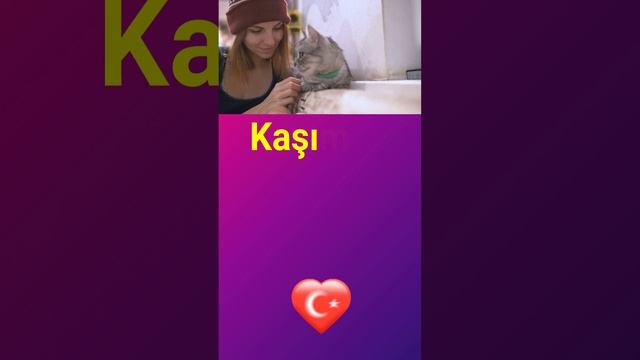 ЧЕСАТЬ ПО ТУРЕЦКИ ТУРЕЦКИЙ ЯЗЫК ОНЛАЙН УРОКИ И ГРАММАТИКА ТУРЕЦКОГО ЯЗЫКА ДЛЯ НАЧИНАЮЩИХ