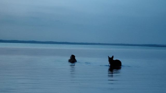 Бугазская коса. Анапа