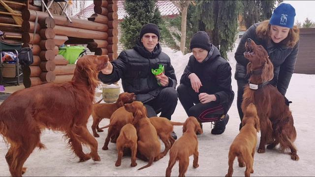 детский сад