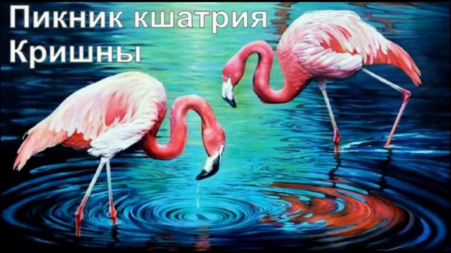 ПИКНИК  КРИШНЫ