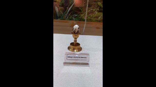 Яйцо размер выставка