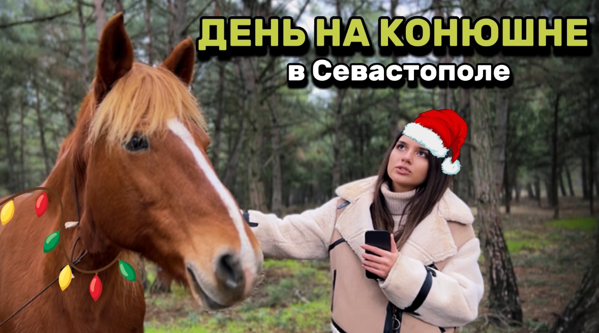 Севастополь, конный клуб «Ход конём» | Отдыхаем в Крыму, выпуск 14
