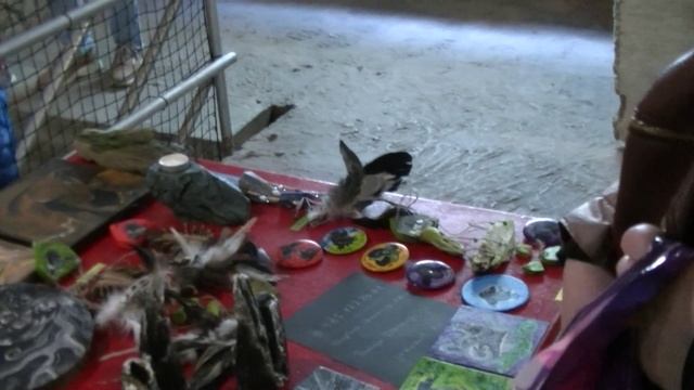 Сорока Белобока. Благотворительная ярмарка. 09.04.2023